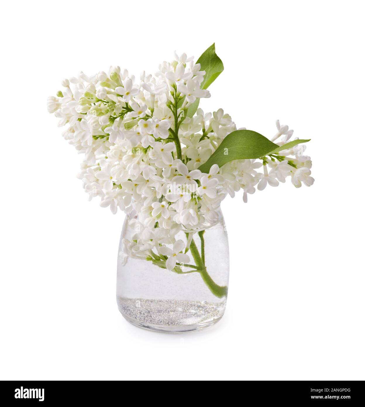 Bouquet flowers on jar Cut Out Stock Images & Pictures - Alamy