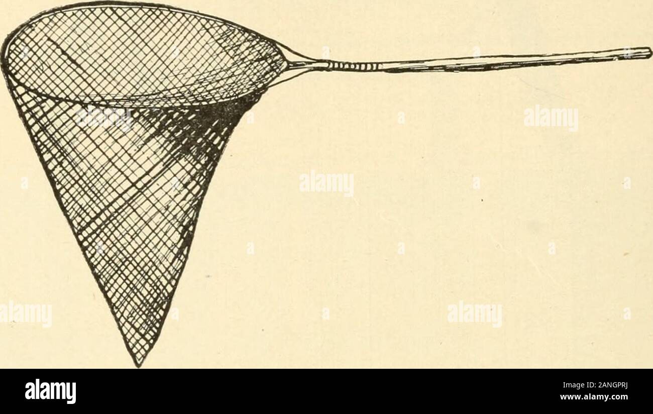 Constructive work; . FIGURE IV INSECT NET.. FIGURE V. Figure V. is an ...