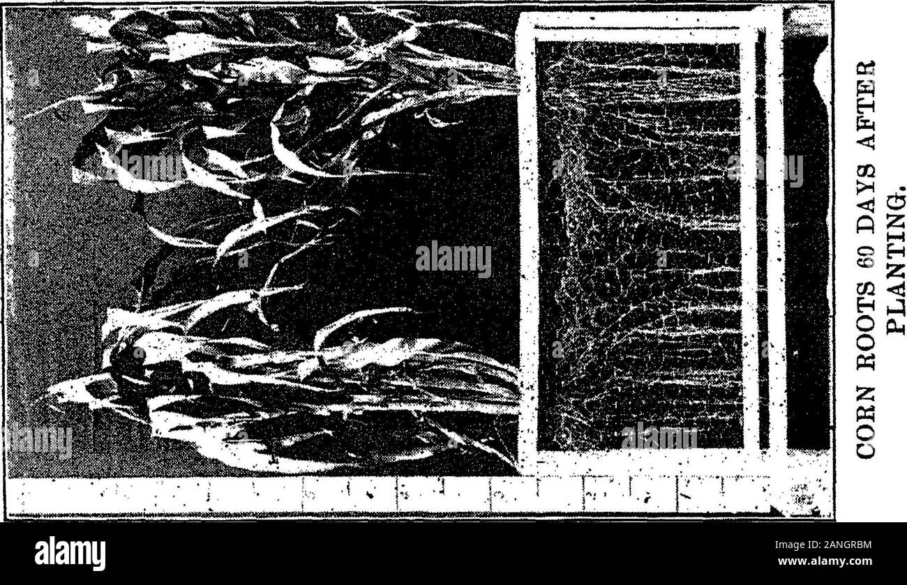 Annual catalogue of the officers, students and graduates of the Kansas ...