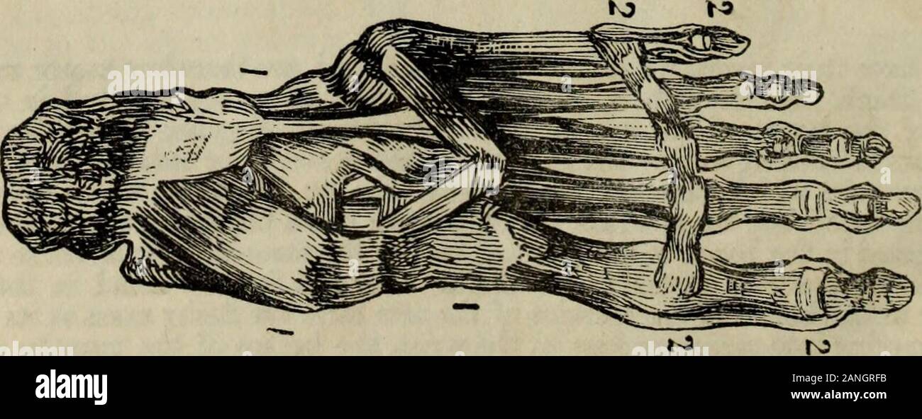 Mere remarks hi-res stock photography and images - Alamy