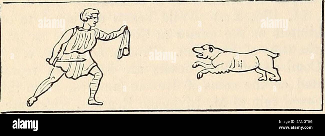 Bestiarius hi-res stock photography and images - Alamy