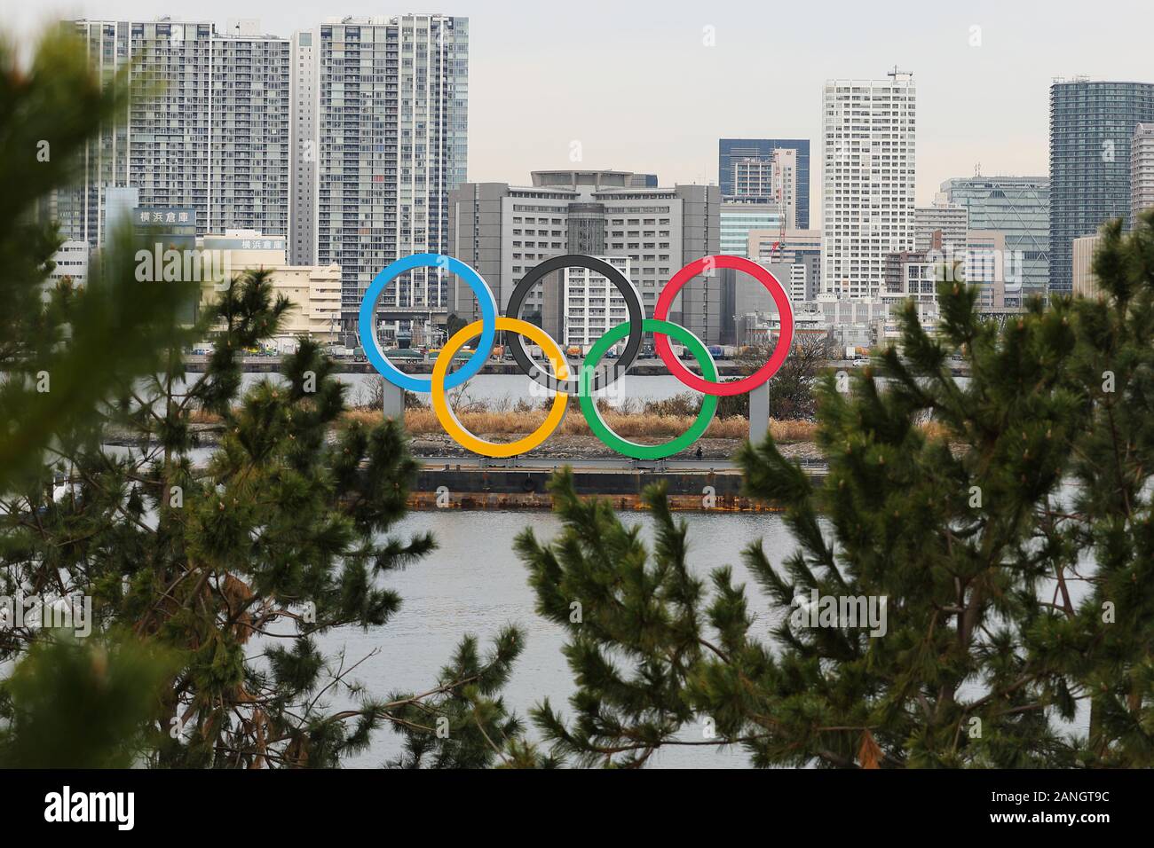 (200117) -- TOKYO, Jan. 17, 2020 (Xinhua) -- A large size Olympic ...