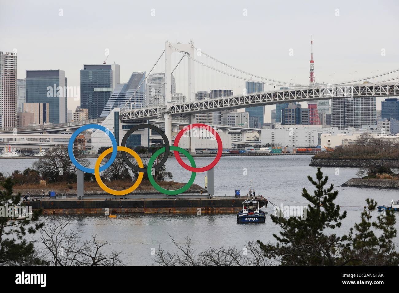 (200117) -- TOKYO, Jan. 17, 2020 (Xinhua) -- A large size Olympic ...
