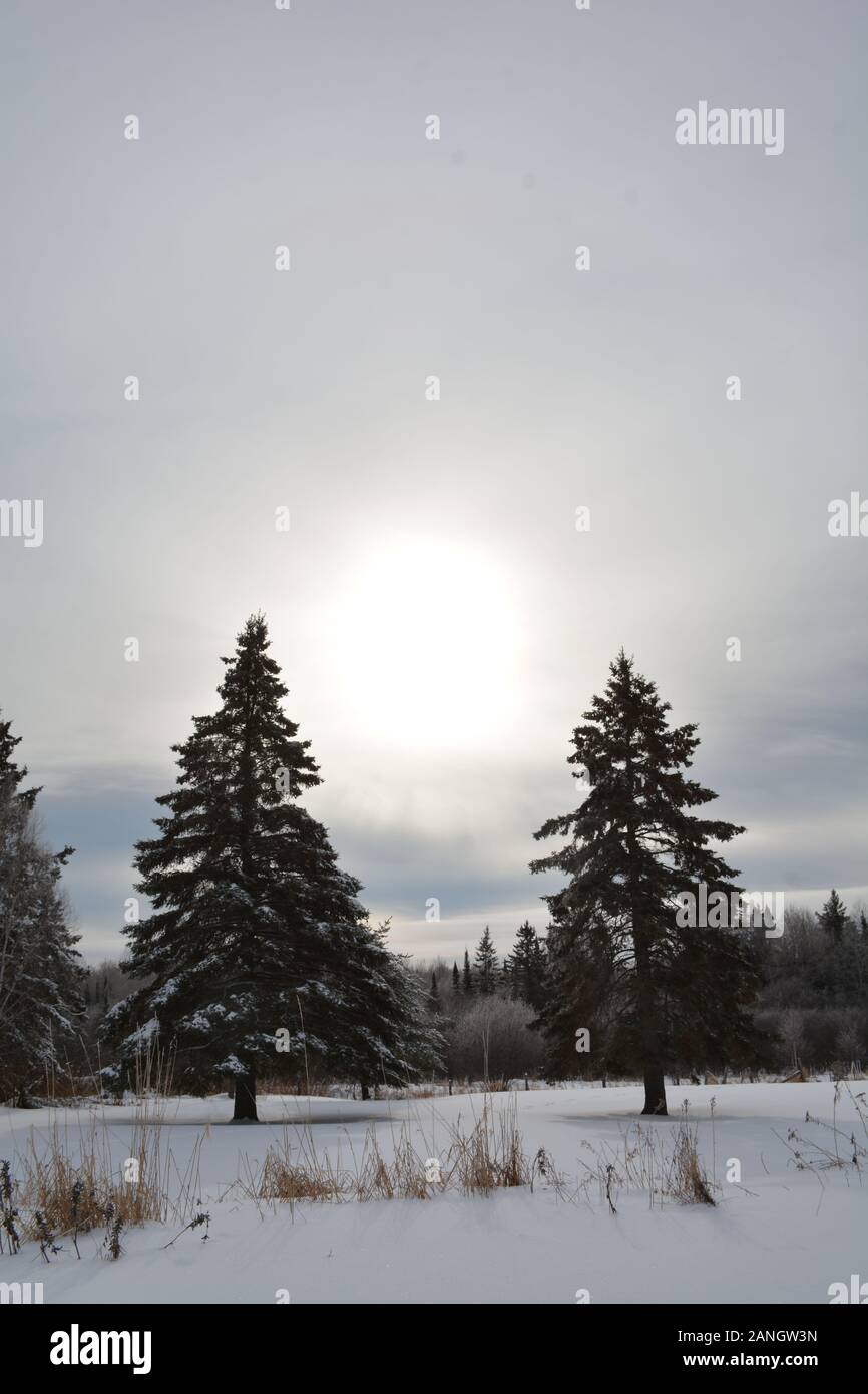 Grey winter sky hi-res stock photography and images - Alamy