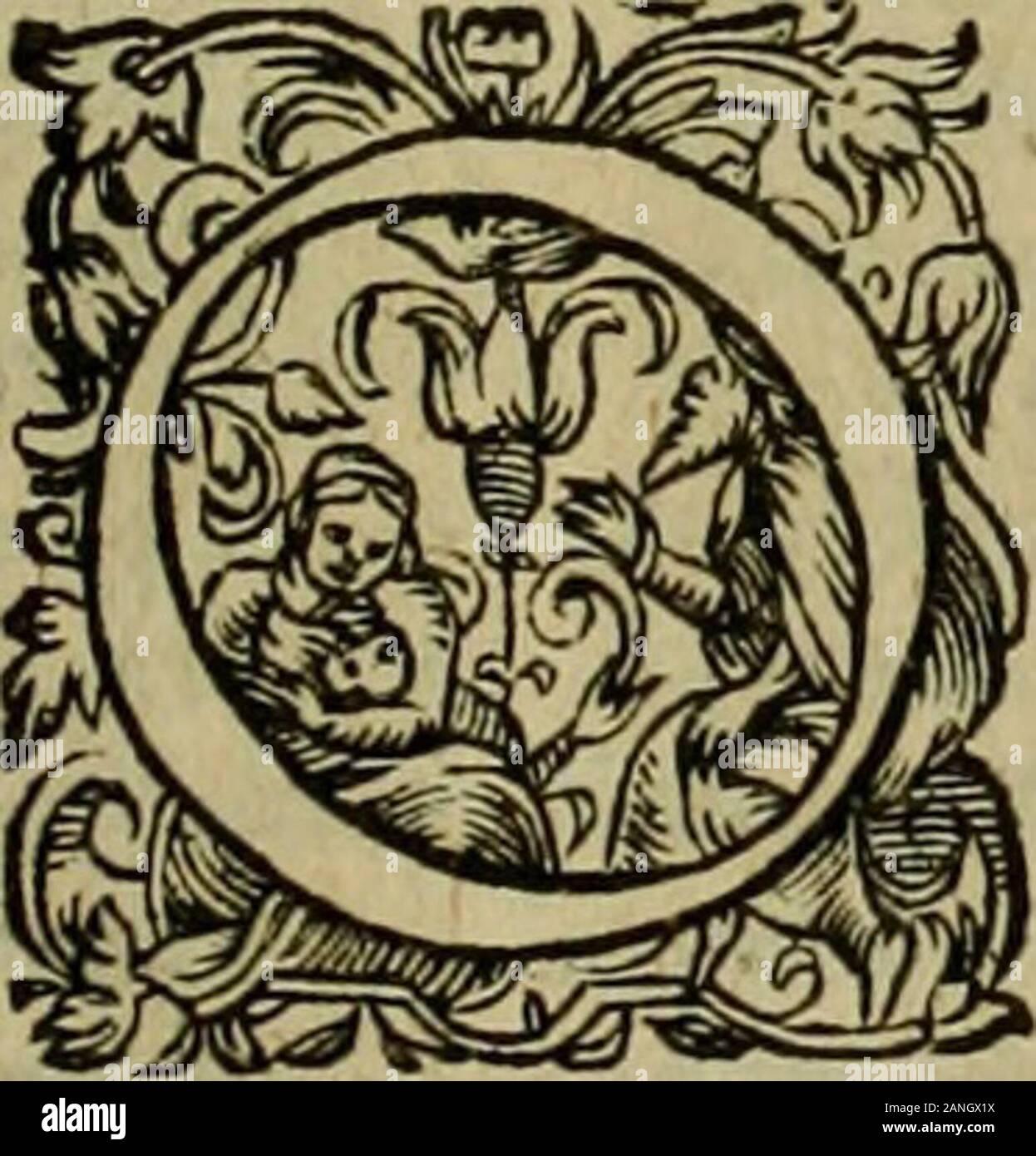 Nobiles hi-res stock photography and images - Alamy