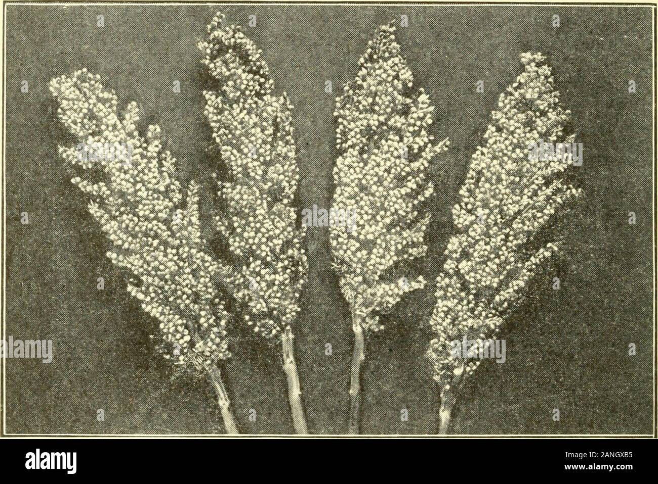 Stooling hi-res stock photography and images - Alamy