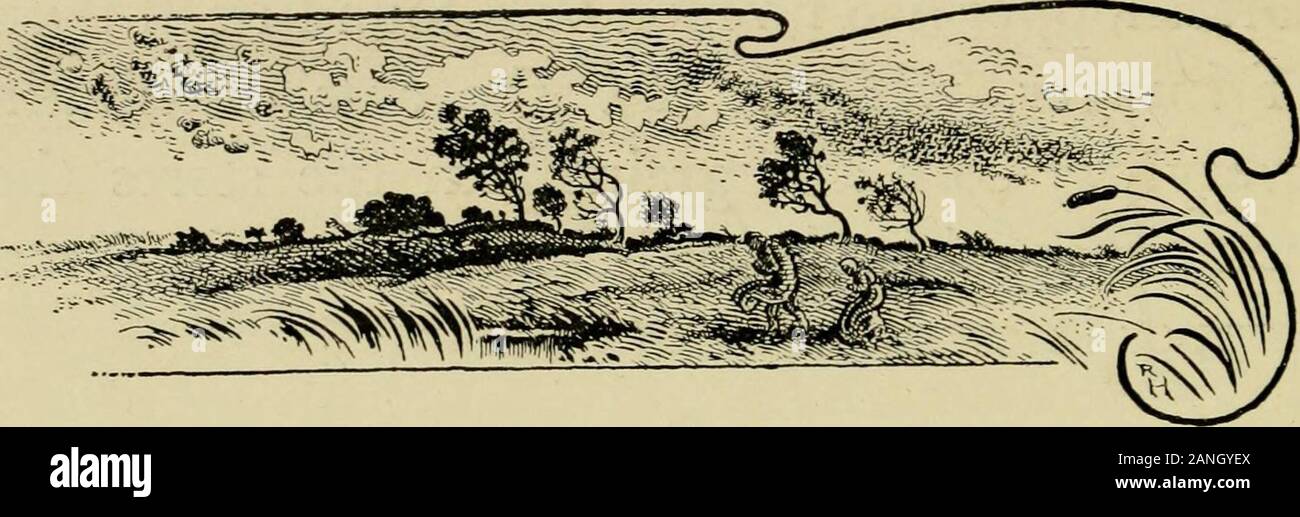 The fables of Æsop, selected, told anew and their history traced . THE ...