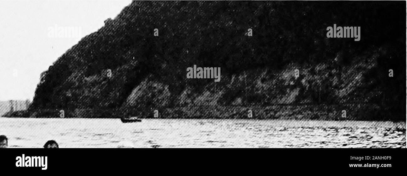 The Cornell navy : a review Stock Photo - Alamy