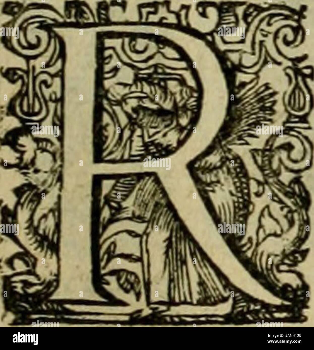 Nobiles hi-res stock photography and images - Alamy