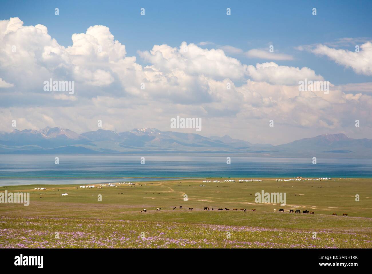 Region of Song Kol lake in Kyrgyzstan Stock Photo - Alamy