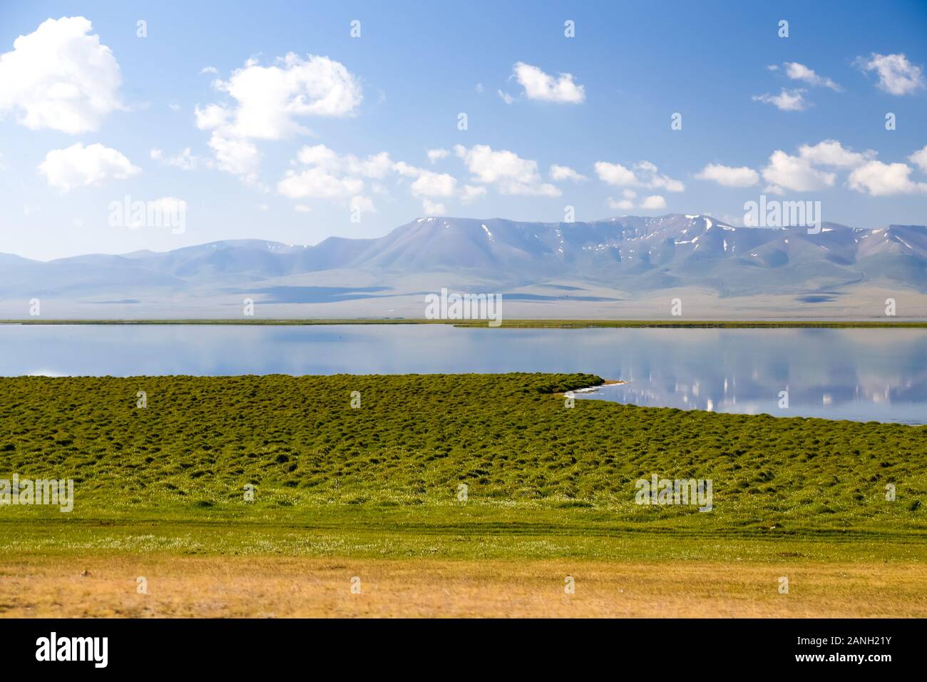 Region of Song Kol lake in Kyrgyzstan Stock Photo - Alamy