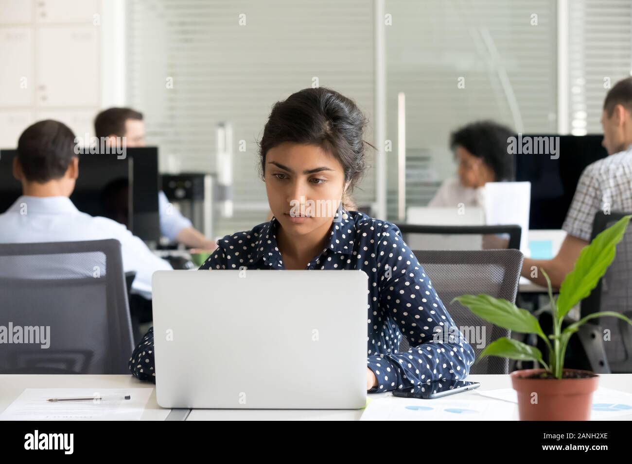 Focused indian female employee busy working online at laptop in shared ...