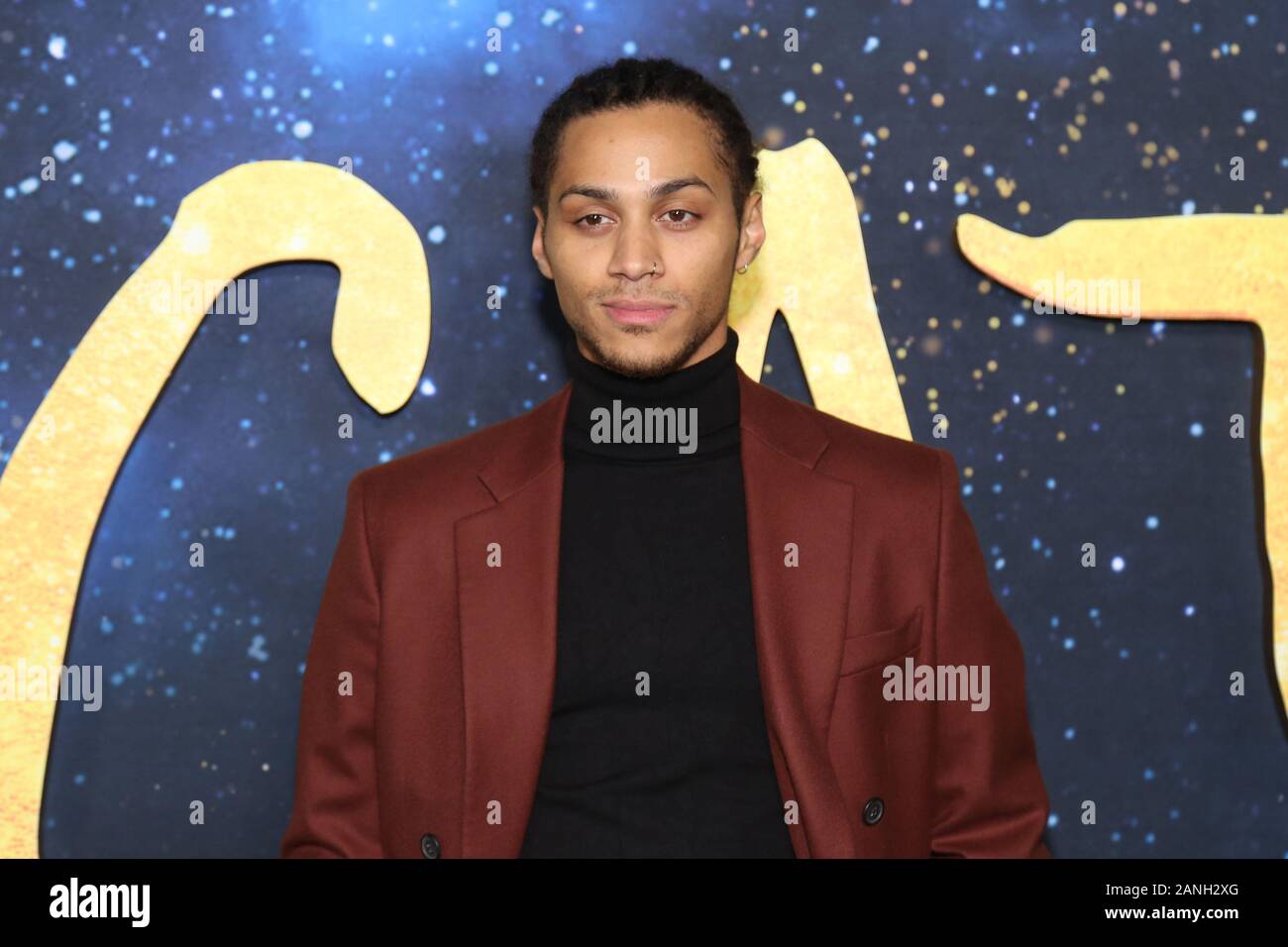 Universal Pictures presents the world premiere of CATS at Alice Tully ...