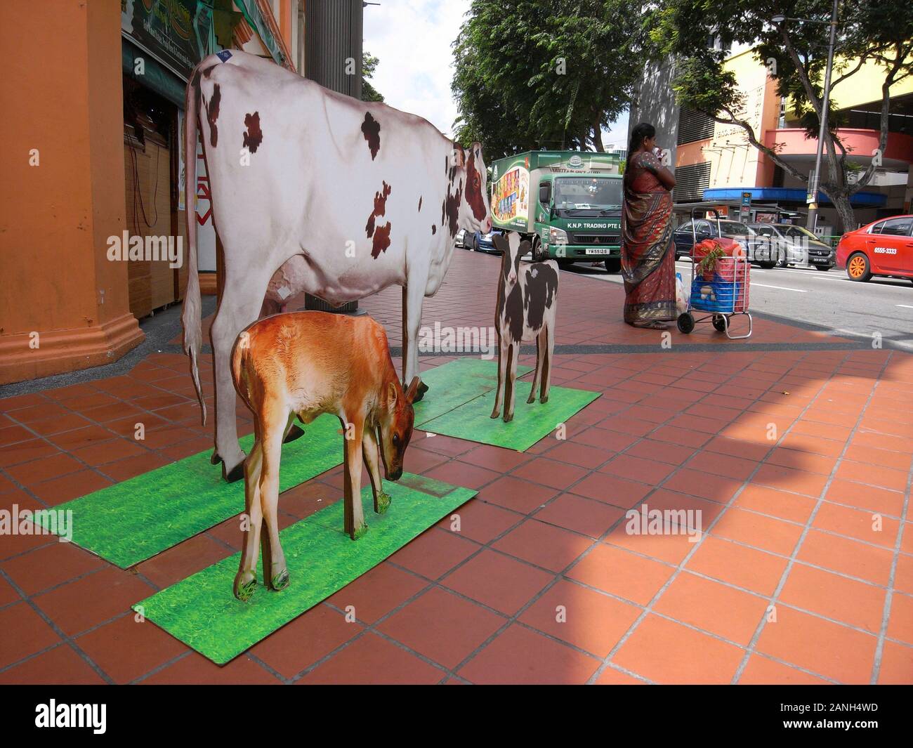 Singapore Singapore - 26 February 2016 : Flat cows in Singapore Stock ...