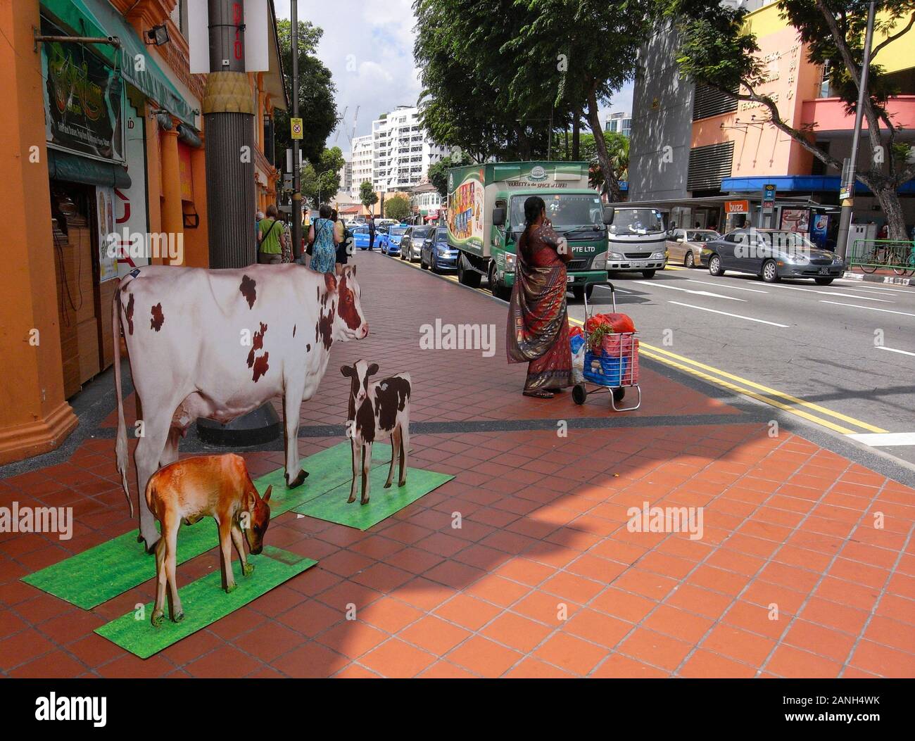 Singapore Singapore - 26 February 2016 : Flat cows in Singapore Stock ...
