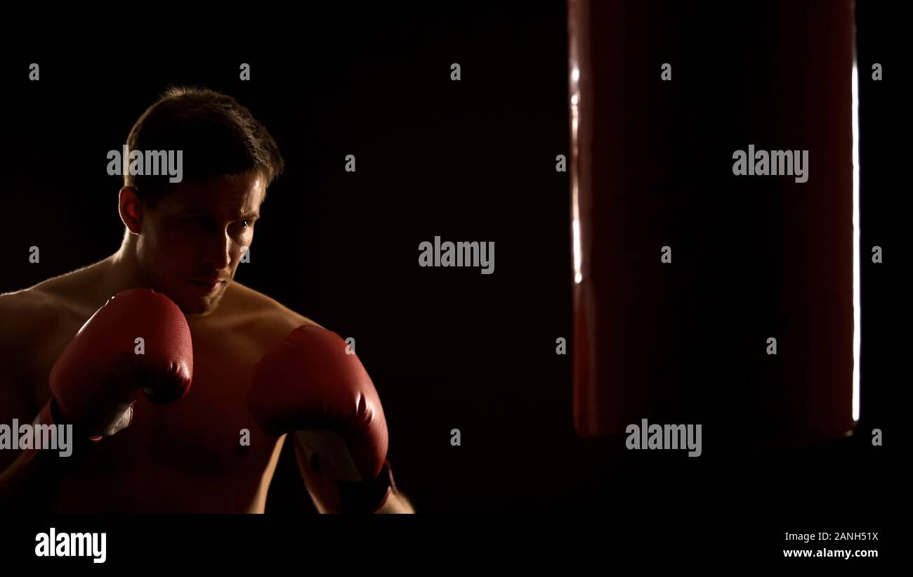 Boxer training in gym with boxing bag, preparing for fight ...