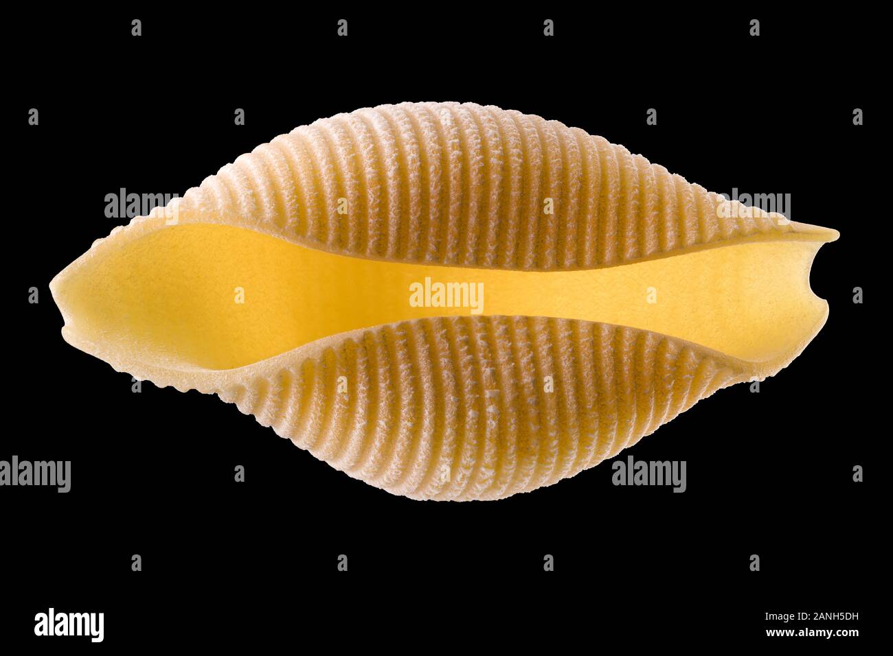 Macro photo of conchiglie pasta shell isolated on black background ...