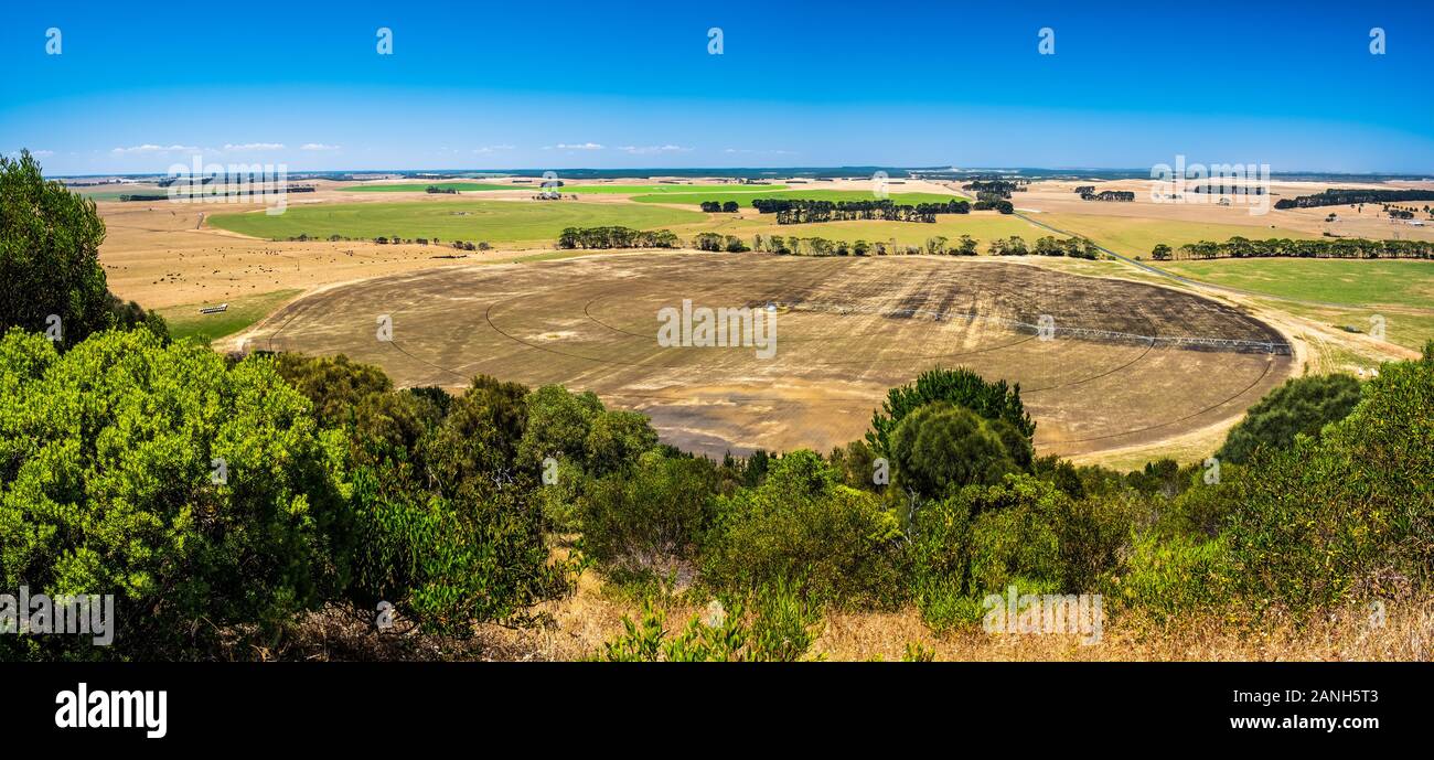 Panorama of round agricultural field with center pivot irrigation ...