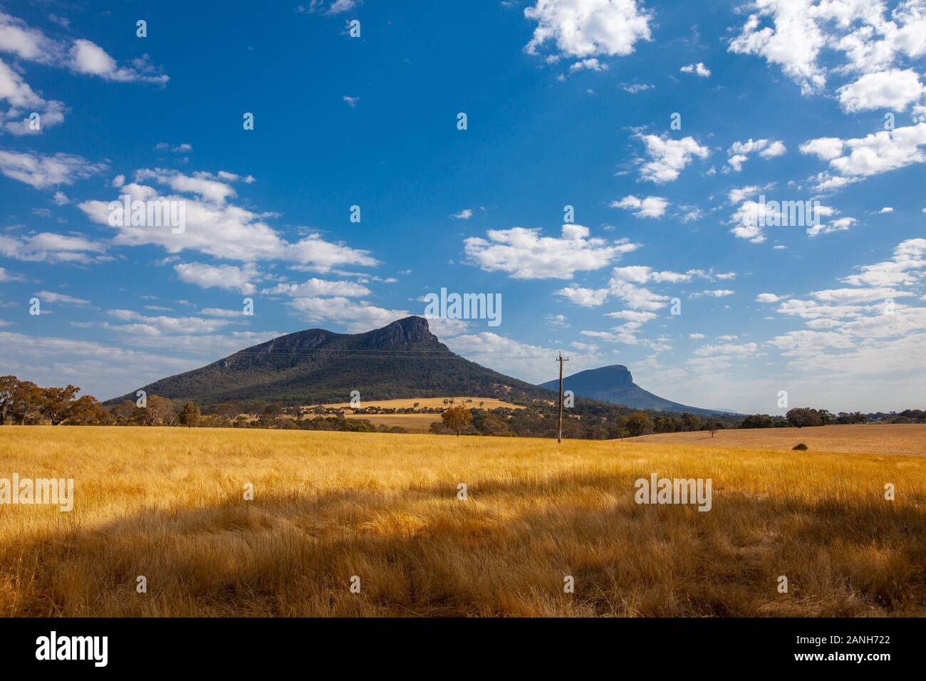 Mt william national park hi-res stock photography and images - Alamy