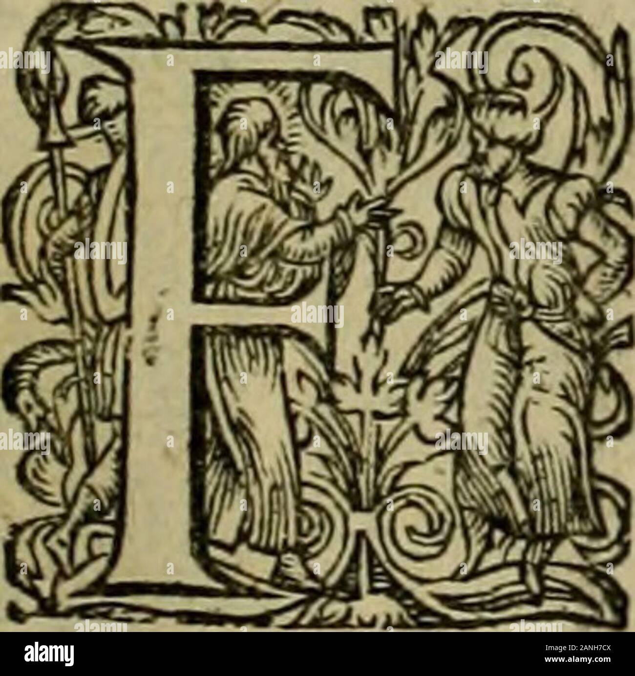 Insulis hi-res stock photography and images - Alamy