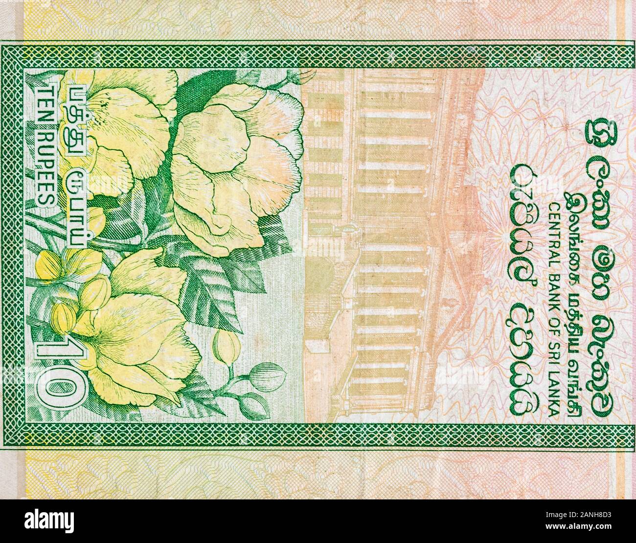 10 Sri Lankan rupees money bill. National currency of Sri Lanka colored ...
