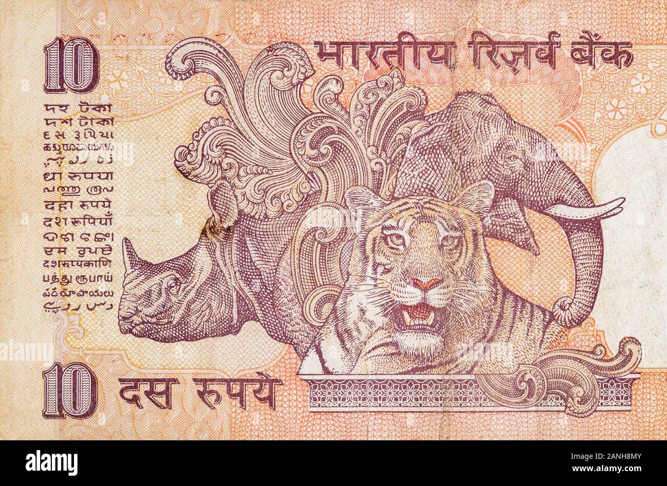 Elephant Rhinoceros and tiger depicted on Indian bank note ten rupees ...
