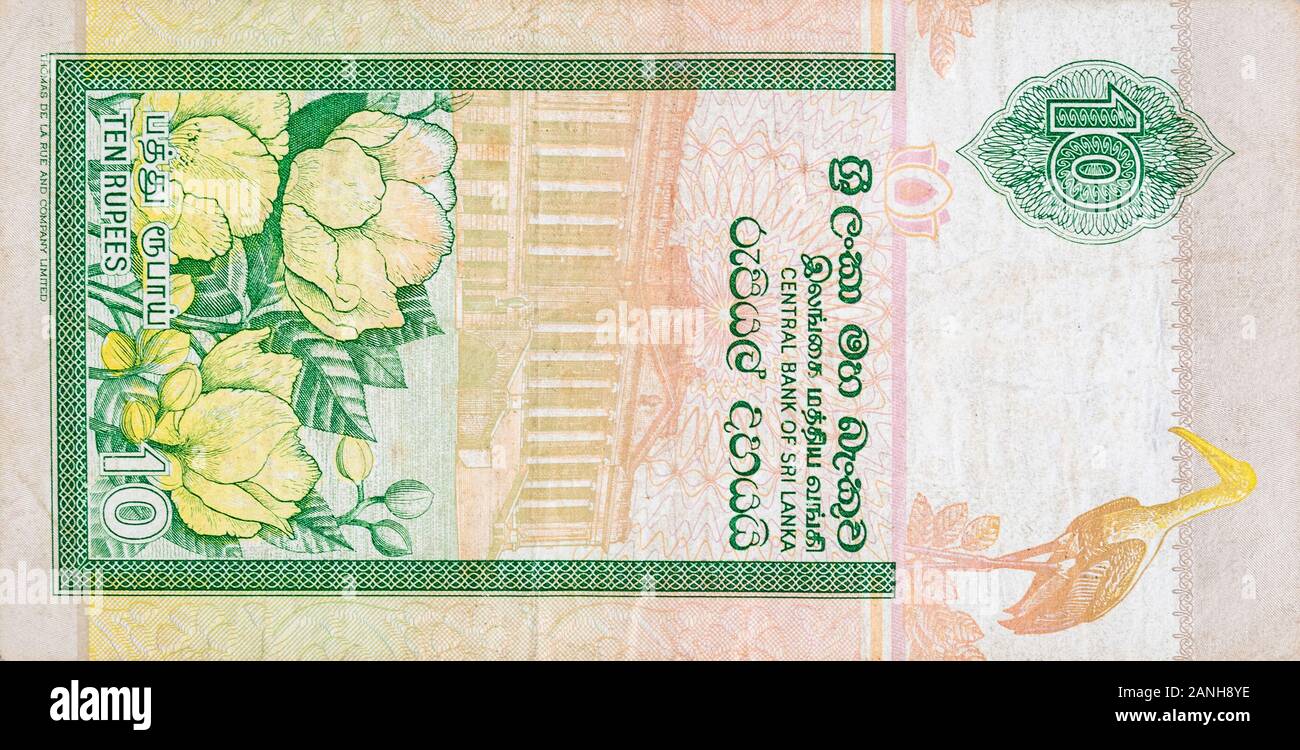 10 Sri Lankan rupees money bill. National currency of Sri Lanka colored ...