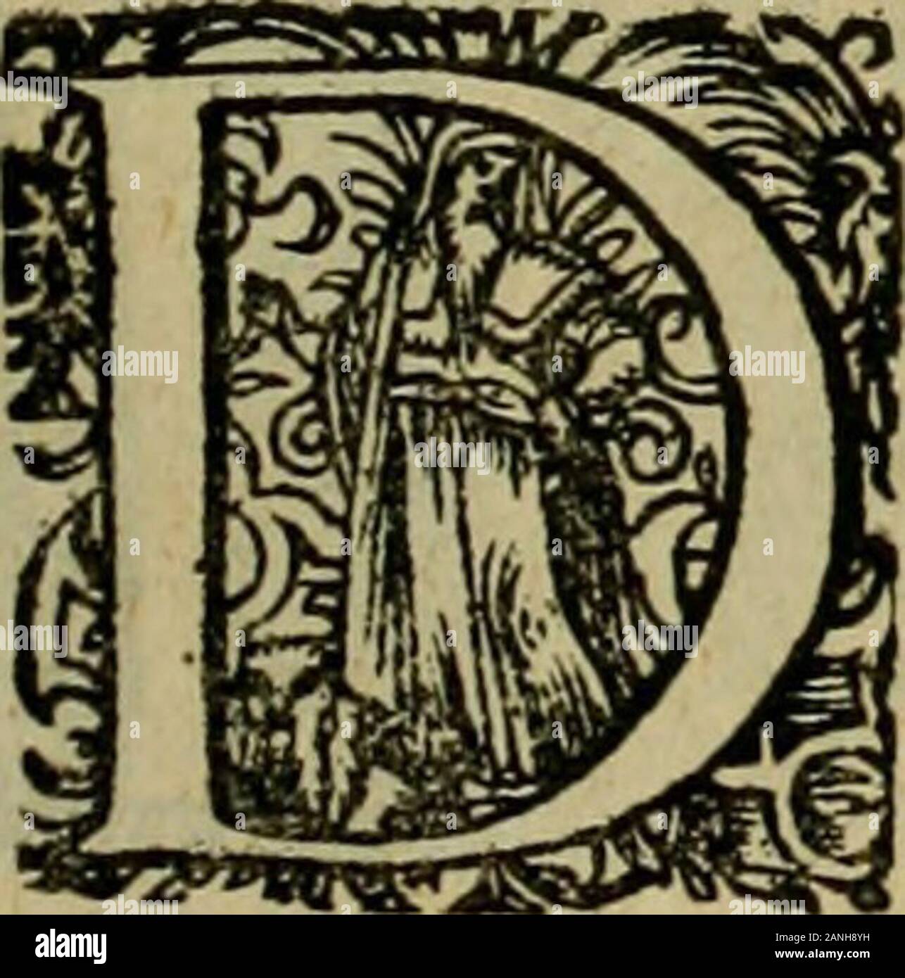 Nobiles hi-res stock photography and images - Alamy