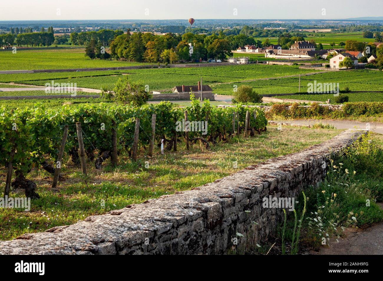 Viticulture wine region hi-res stock photography and images - Alamy