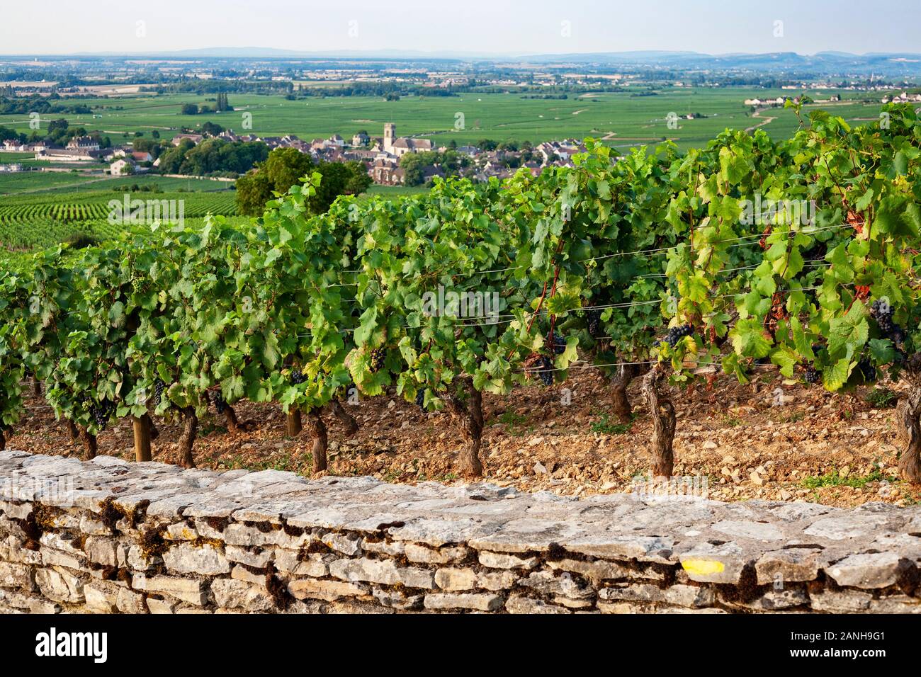Burgundy wine region hi-res stock photography and images - Alamy