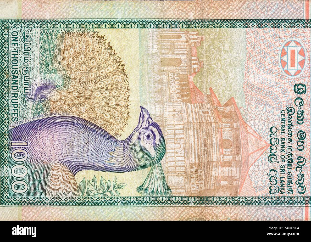 1000 Sri Lankan rupees money bill. National currency of Sri Lanka ...