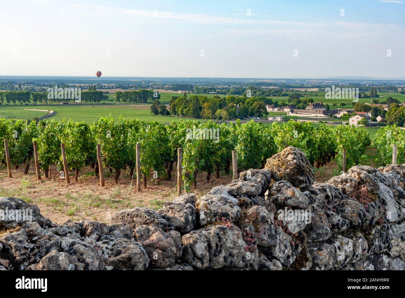 Burgundy wine region hi-res stock photography and images - Alamy
