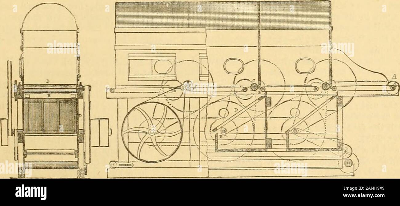 Fat beaver hi-res stock photography and images - Alamy