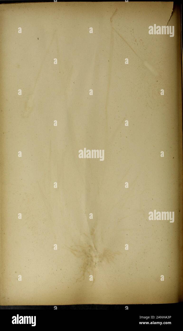The British farmer's plant portfolio : specimens of the principal ...