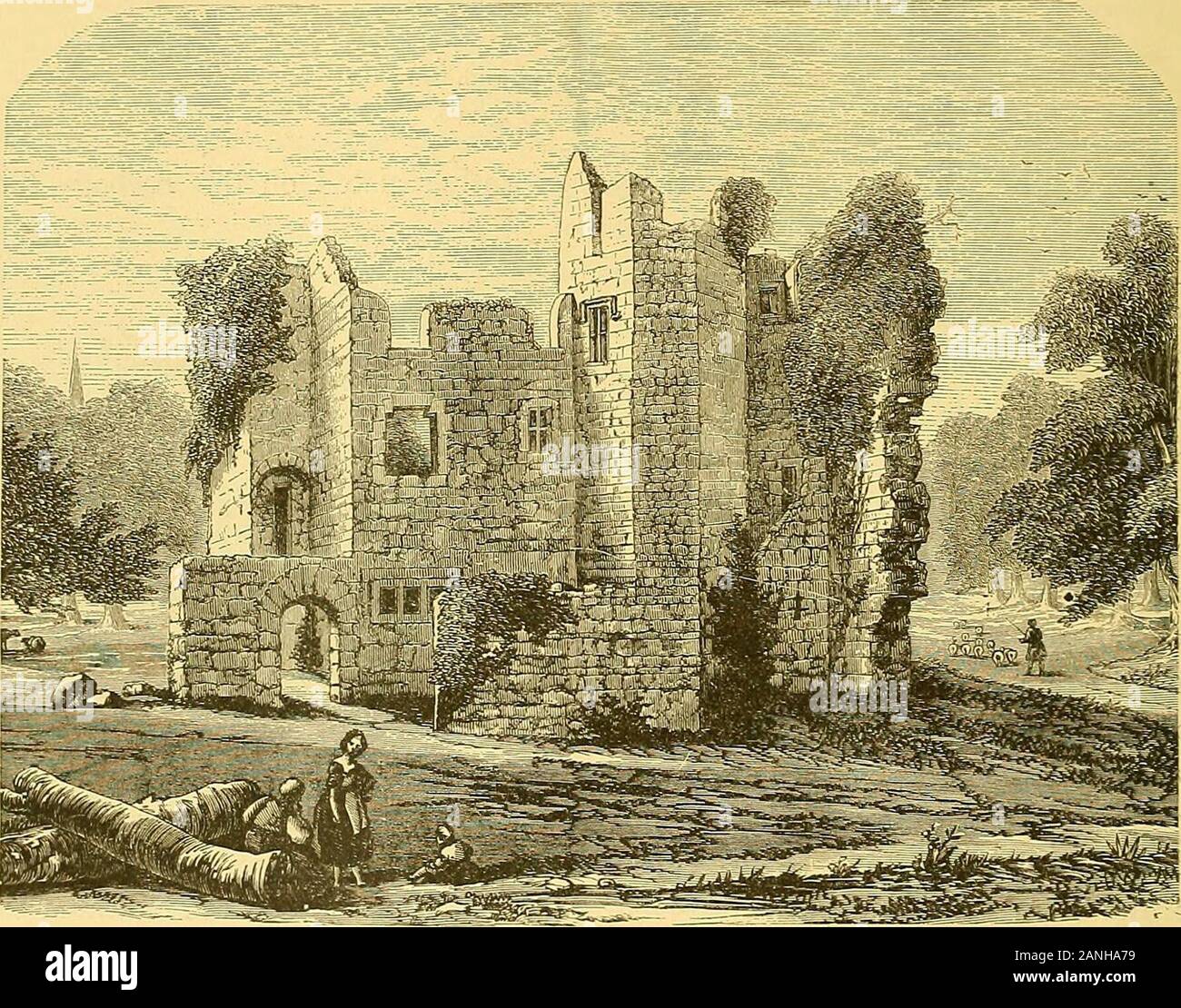 Wilton castle ireland hi-res stock photography and images - Alamy
