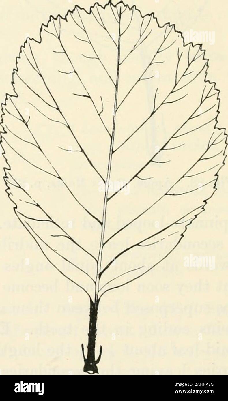 Orders loops hi-res stock photography and images - Alamy