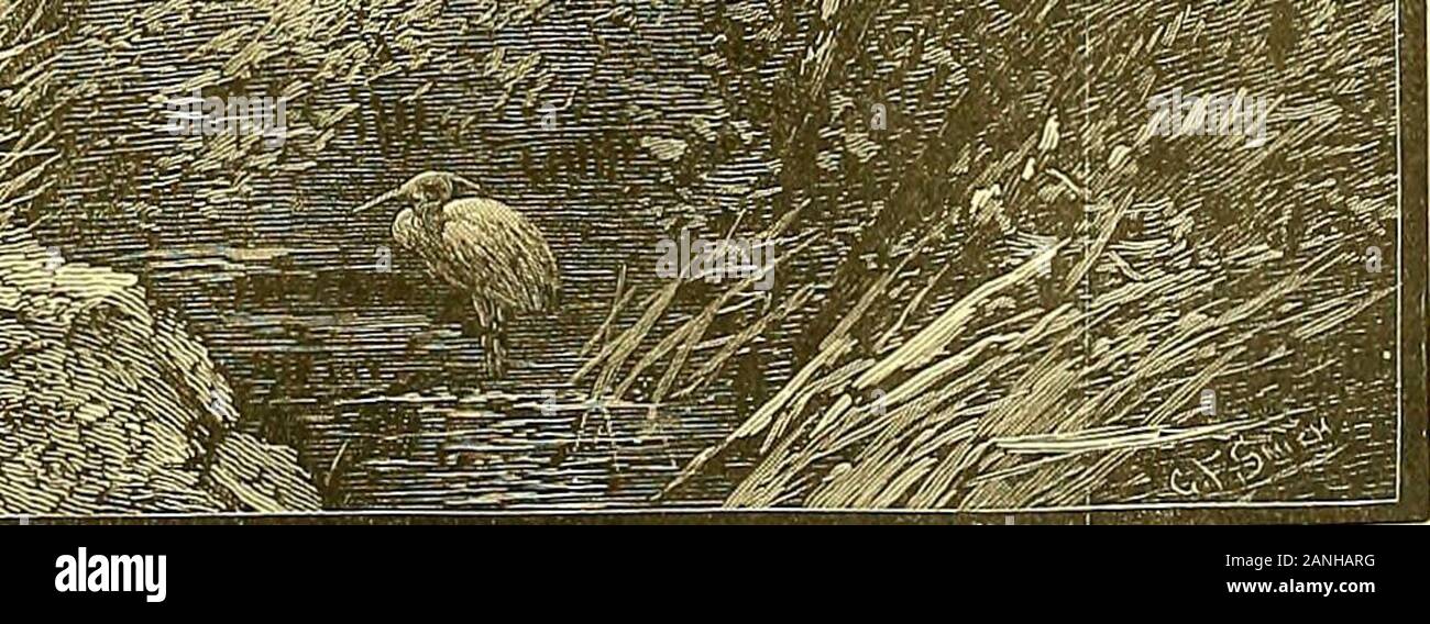 Arney hi-res stock photography and images - Alamy