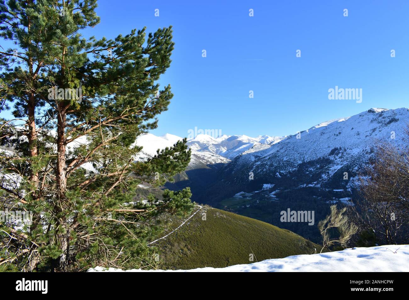 Winter landscape with snowy mountains, green valley with forest and ...
