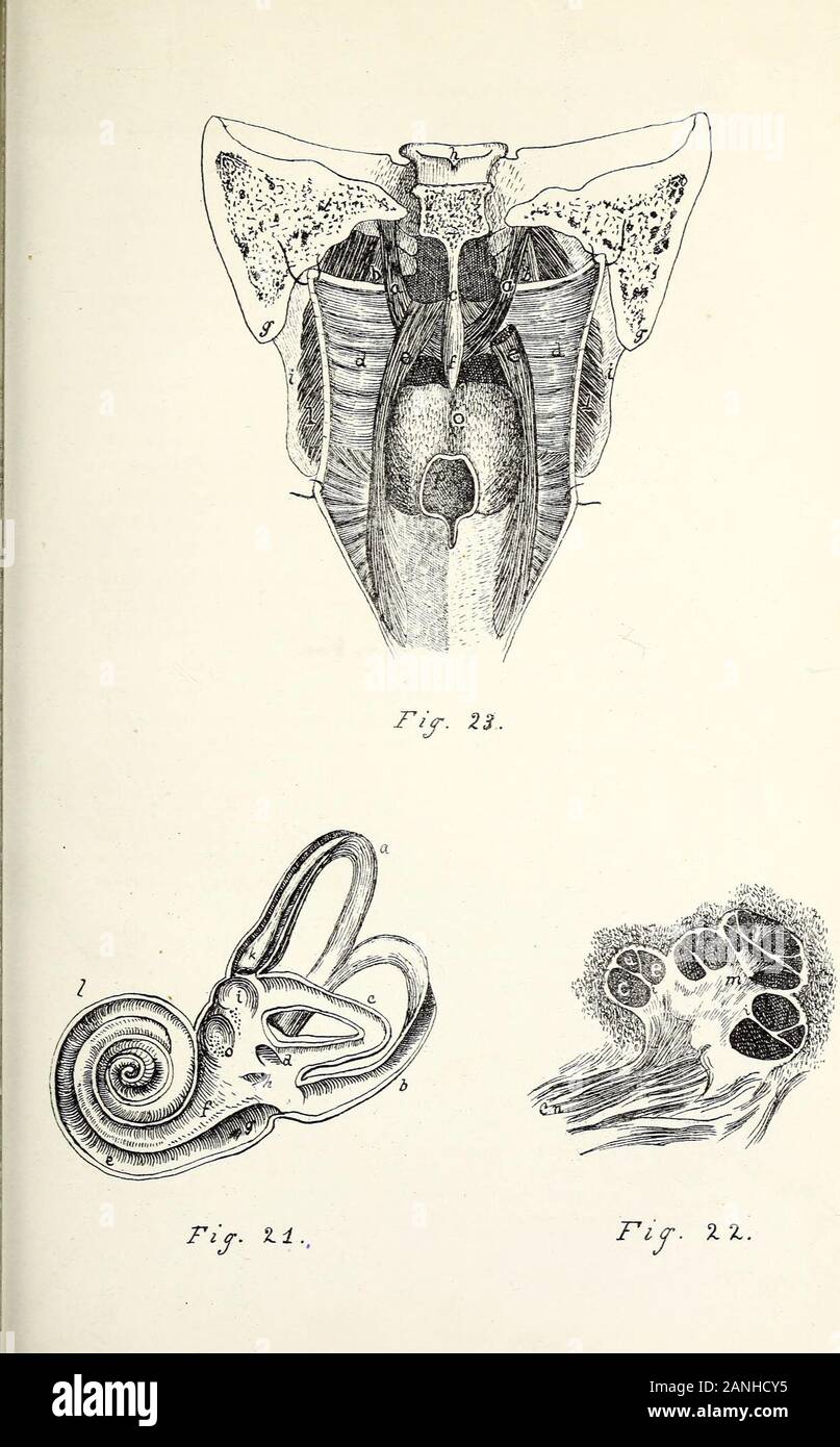 Education of Deaf-Mutes : A Manual for Teachers . theaqueduct of the ...