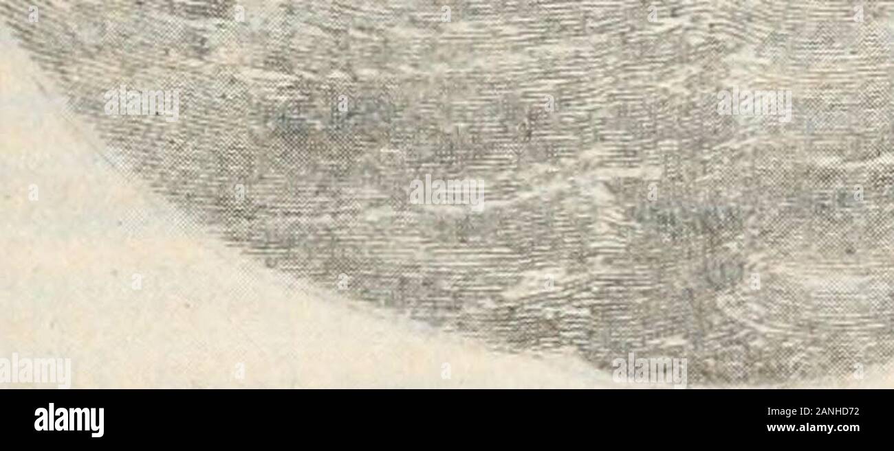 Cycloid scale hi-res stock photography and images - Alamy