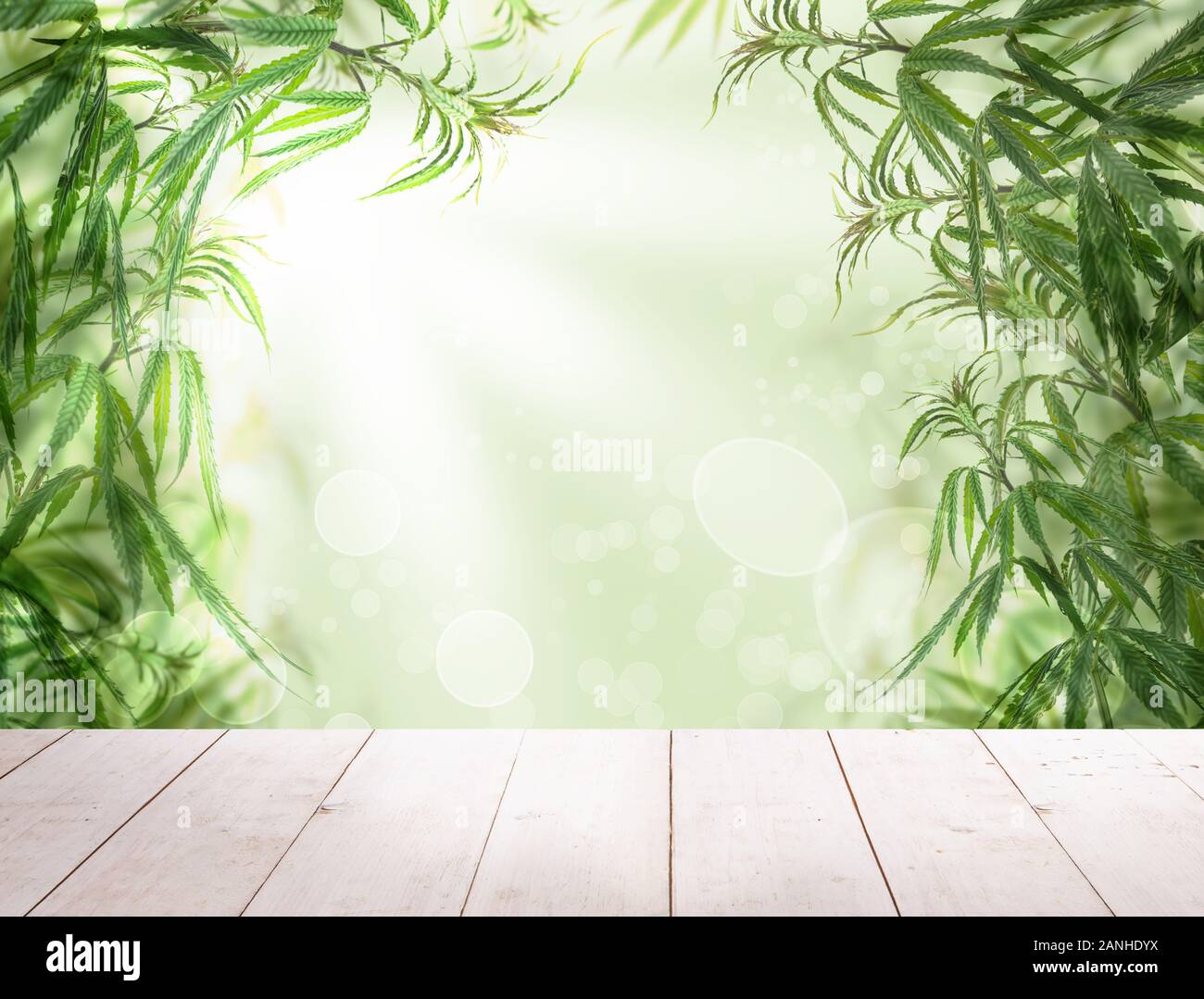 Green cannabis with wooden background, cultivation vegetation marijuana ...