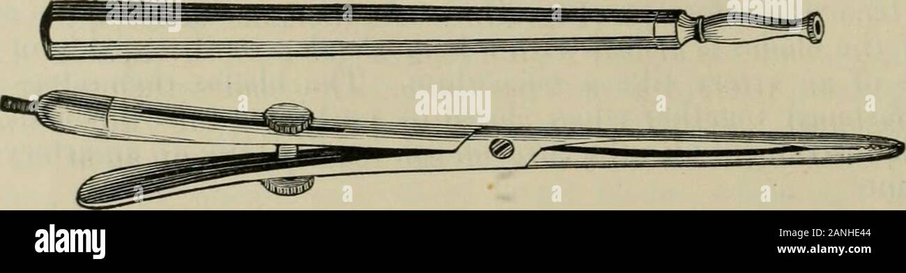 Bleeding forceps hi-res stock photography and images - Alamy