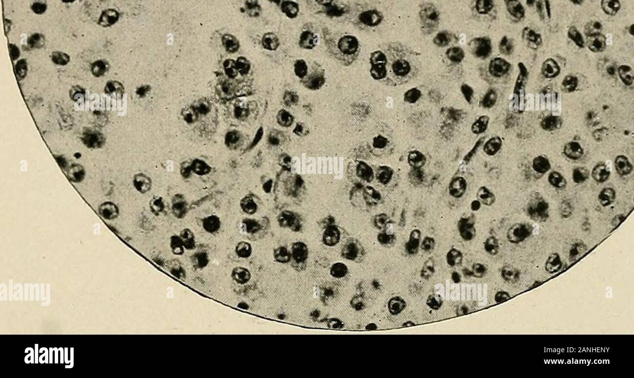 The practice of surgery . ?0 Stock Photo - Alamy