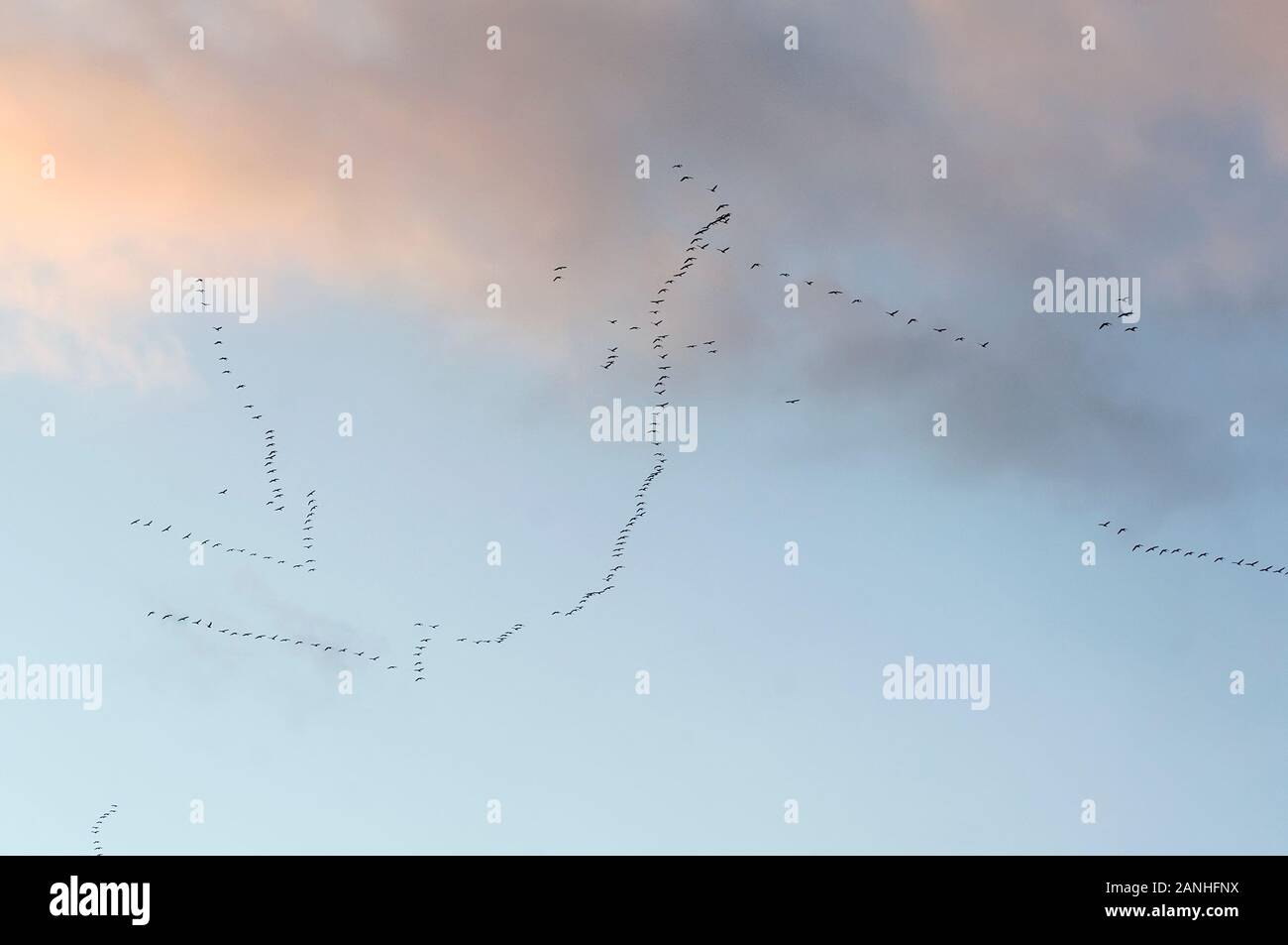 Flight pattern hi-res stock photography and images - Alamy