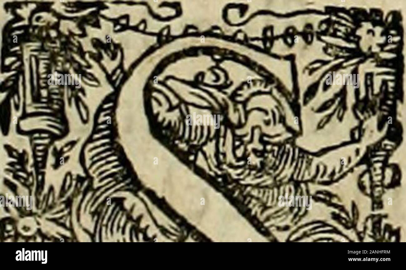 Nobiles hi-res stock photography and images - Alamy