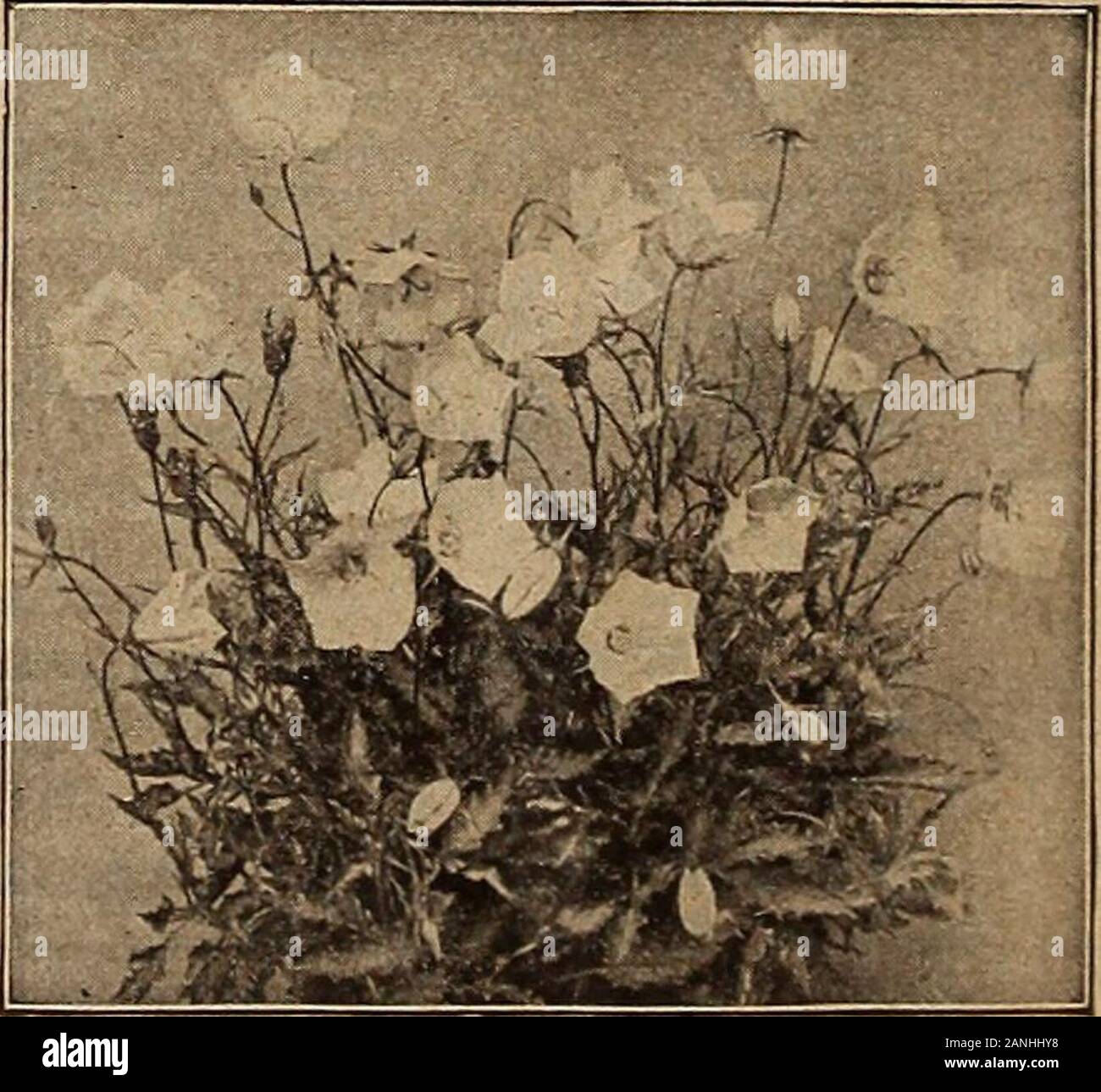 Is 1729 feet high hi-res stock photography and images - Alamy