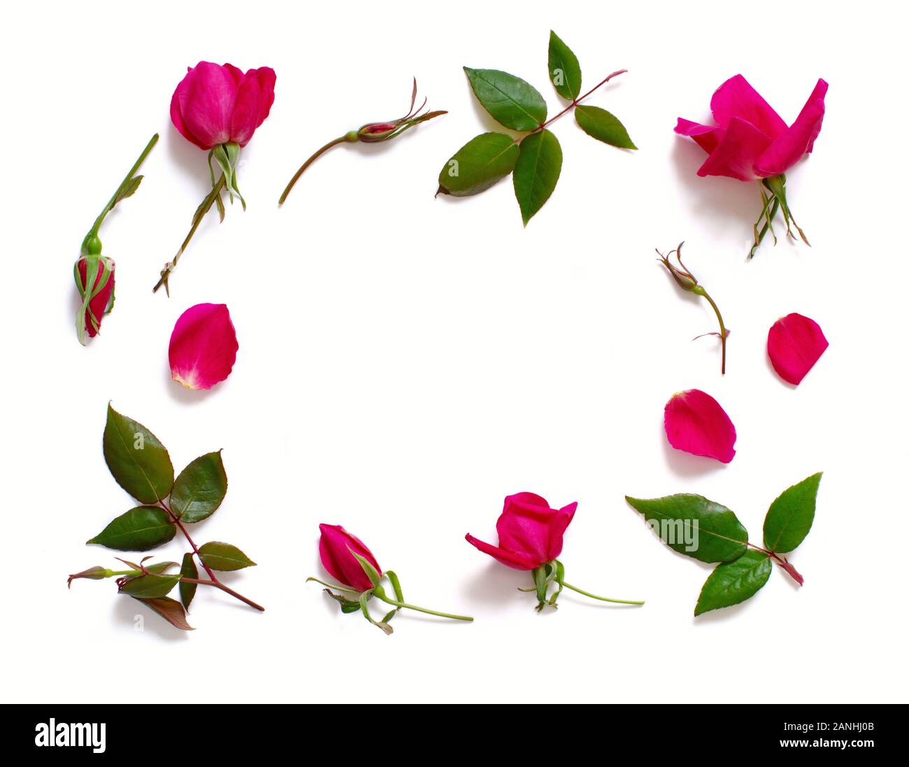 Spring view wild flowers Cut Out Stock Images & Pictures - Alamy