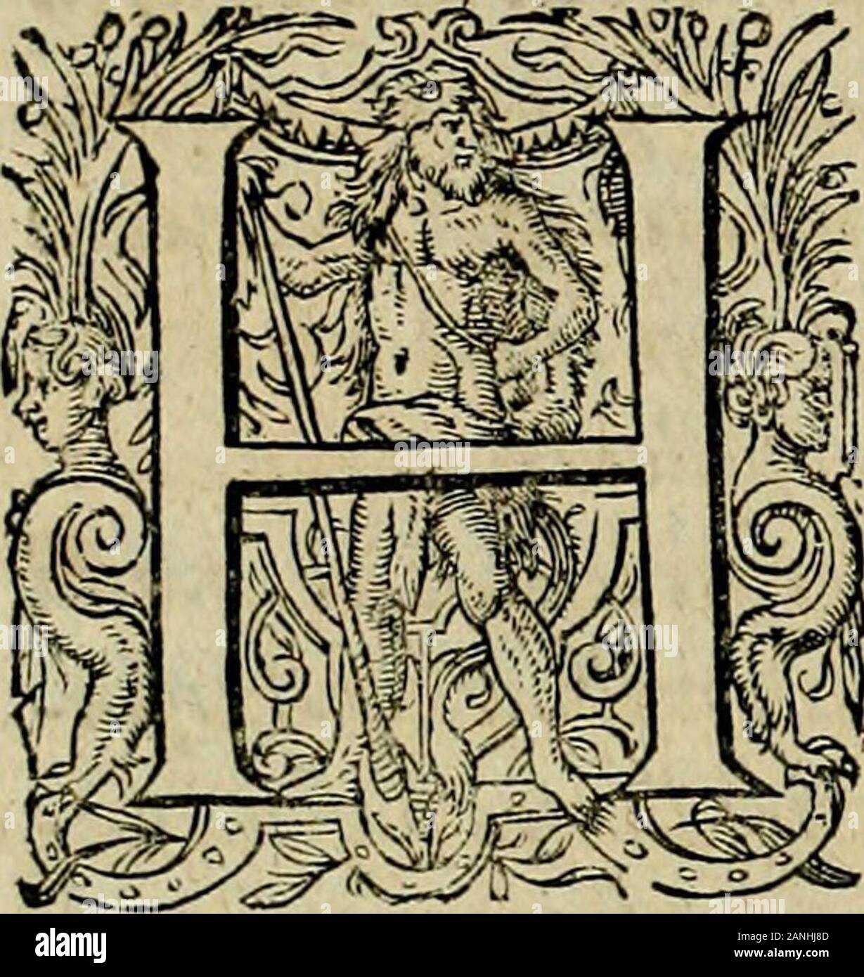 Nobiles hi-res stock photography and images - Alamy