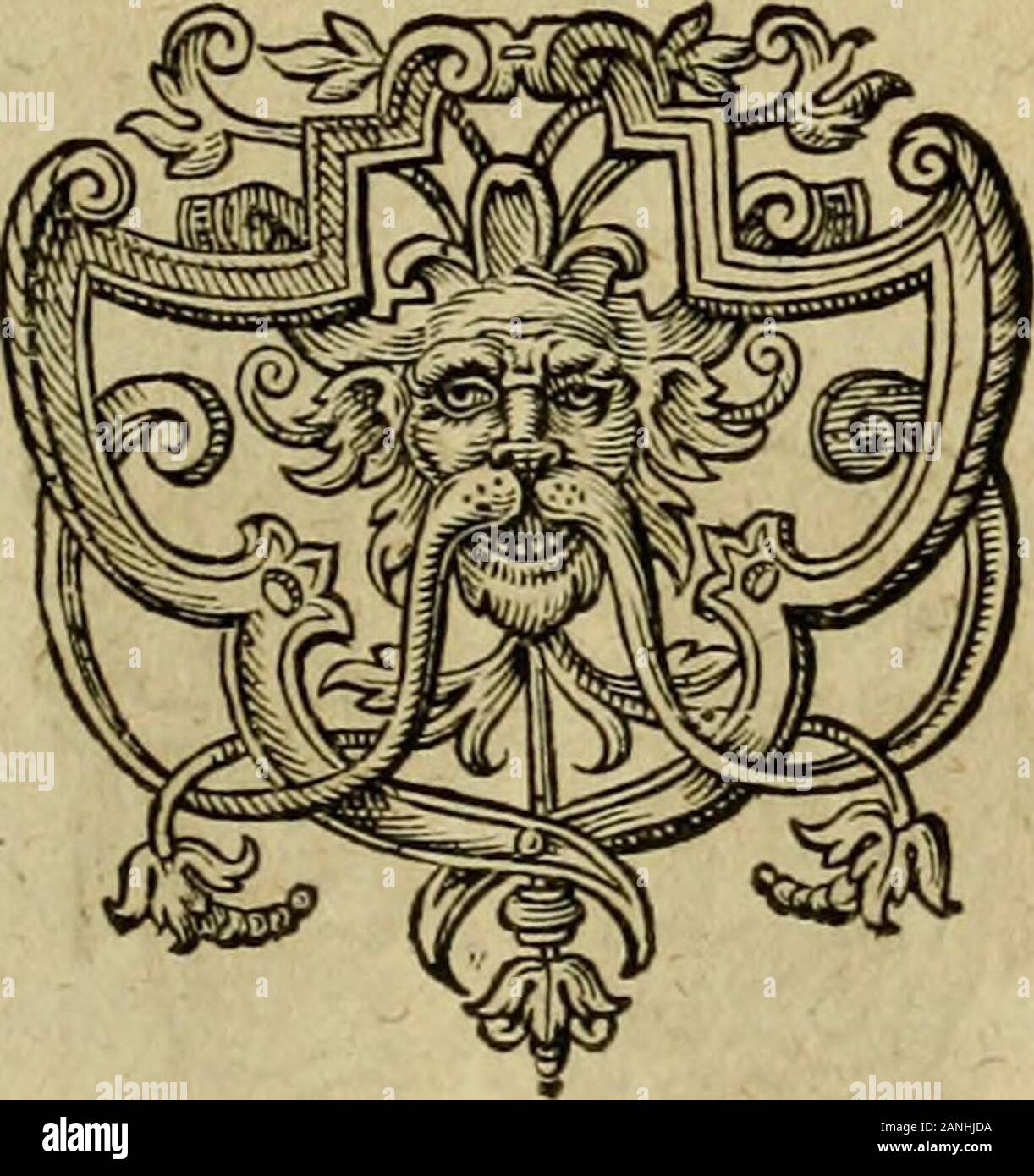 Nobiles hi-res stock photography and images - Alamy