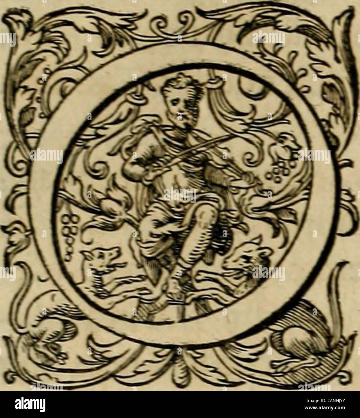 Nobiles hi-res stock photography and images - Alamy